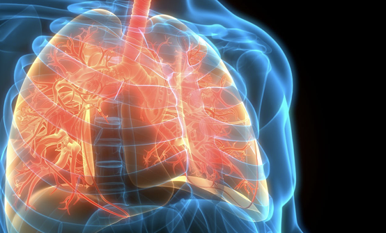 Our Pipeline – Transpire Bio